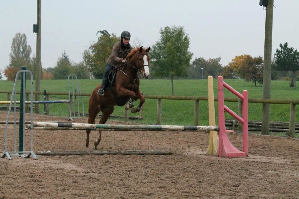 Poney Club de Cholet