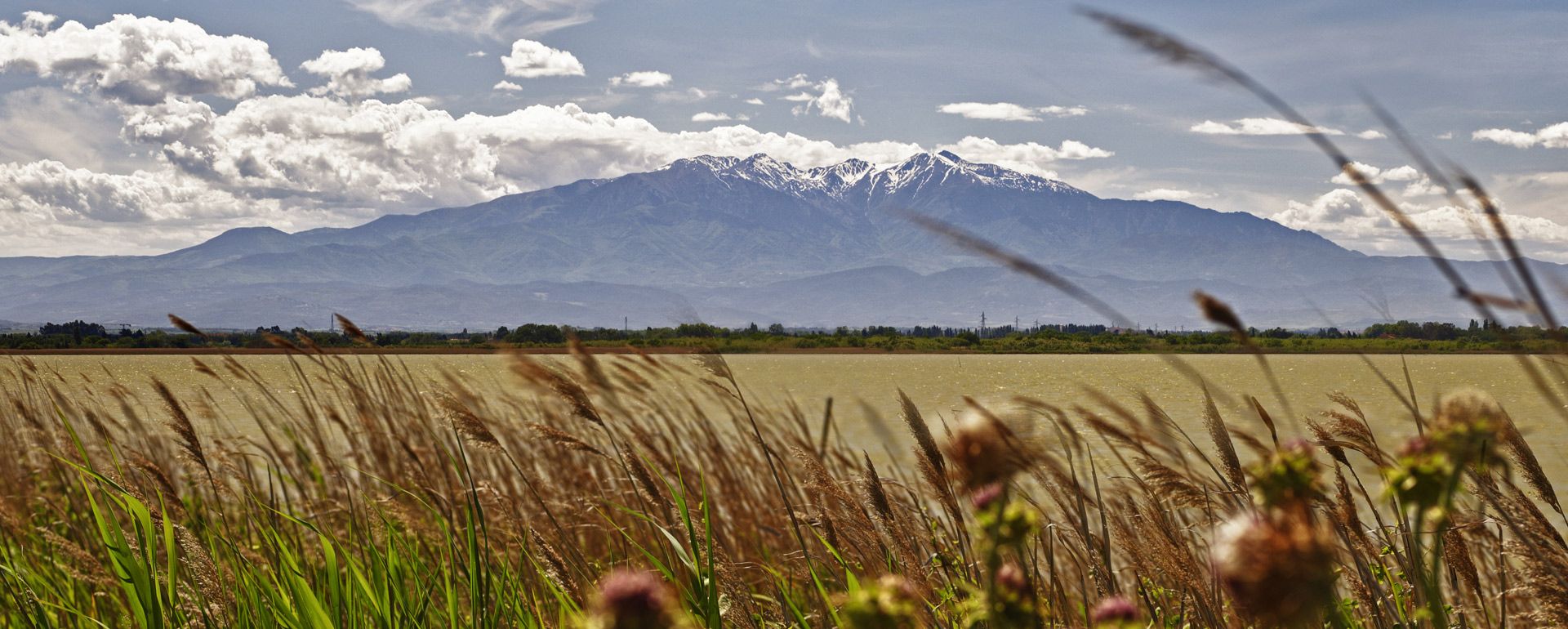 Le Canigó - Grand Site Occitanie - Tourisme en Occitanie