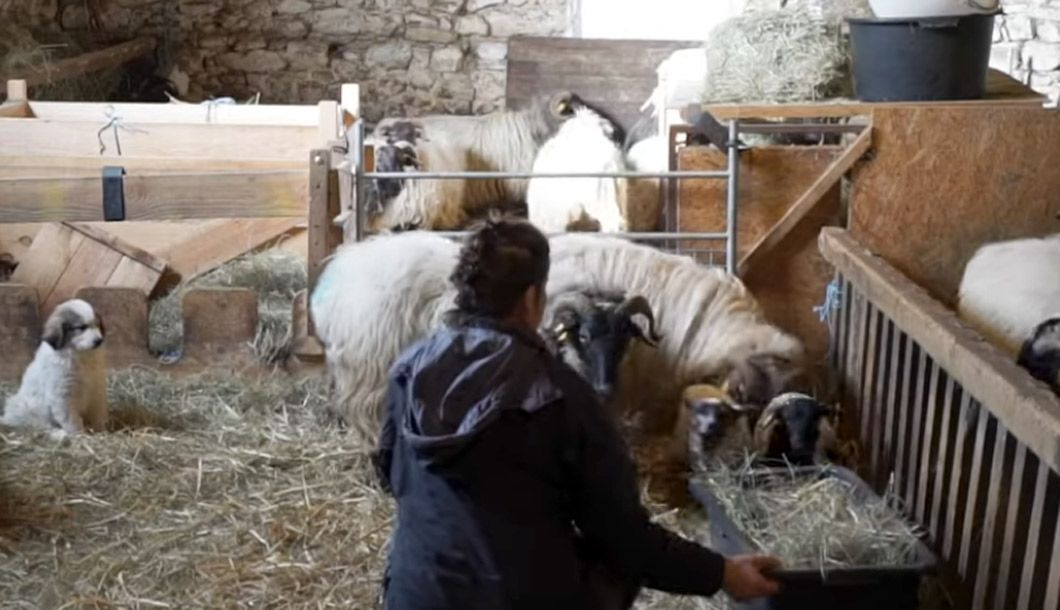 Agritourisme en Occitanie - Tourisme en Occitanie