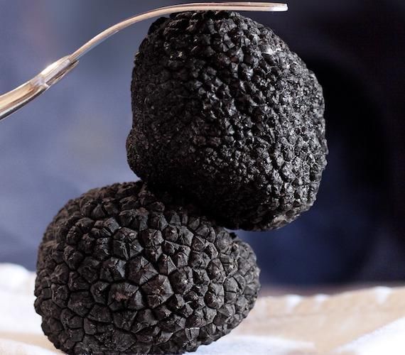 Fêtes et marchés aux truffes - Tourisme en Occitanie