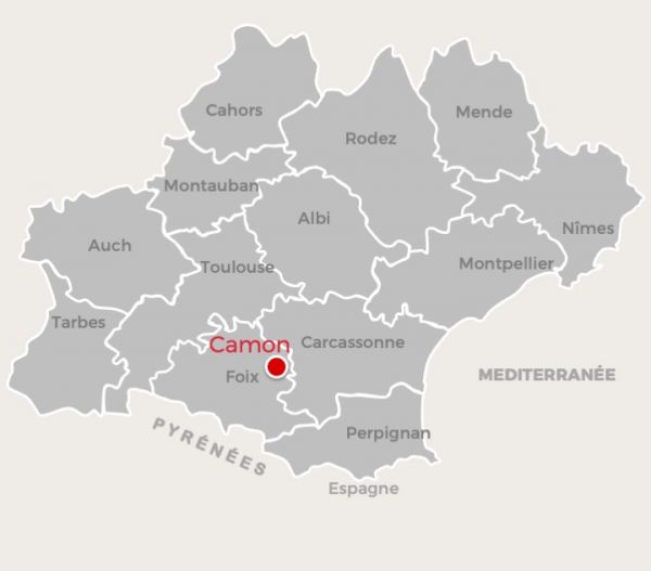 Camon
