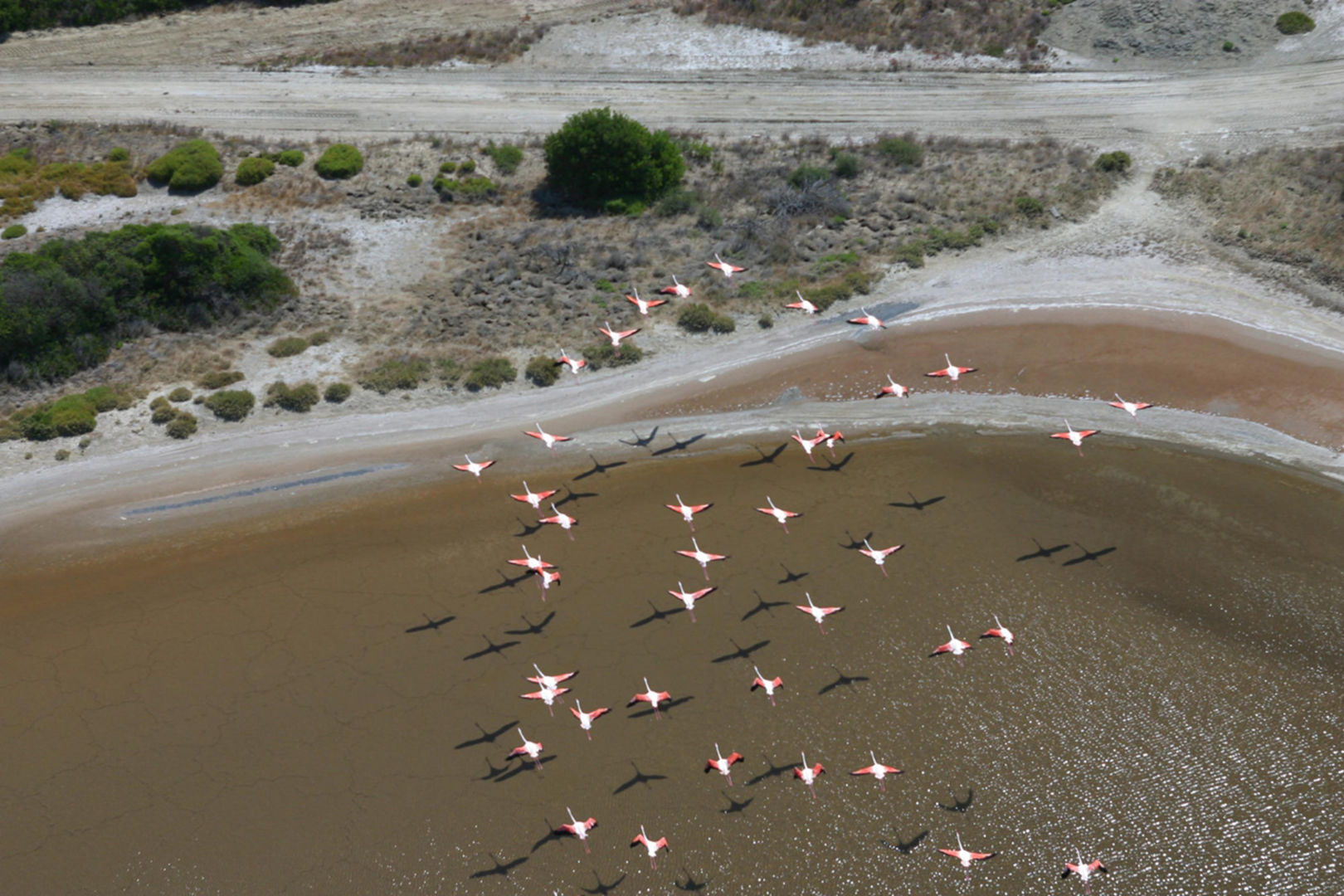 Escapade en Camargue - Gard Tourisme