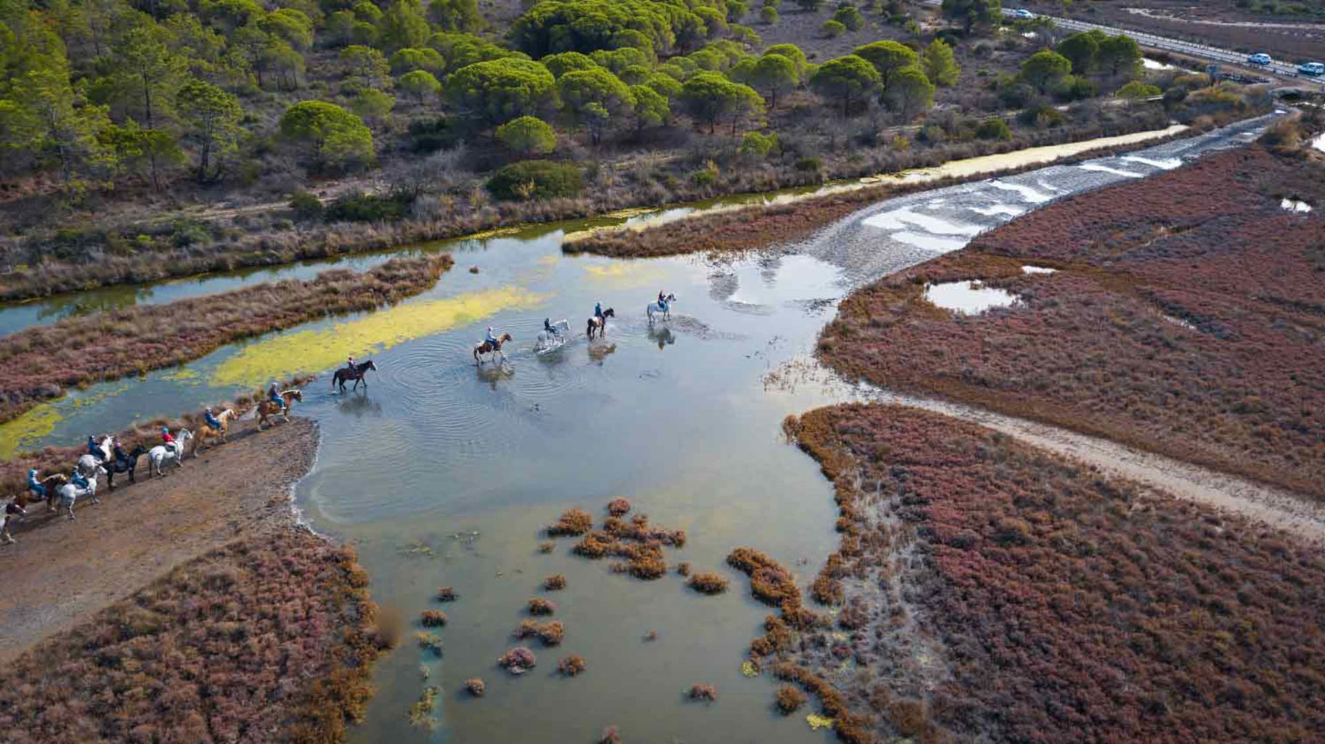 Au coeur de la Camargue - Le Gard