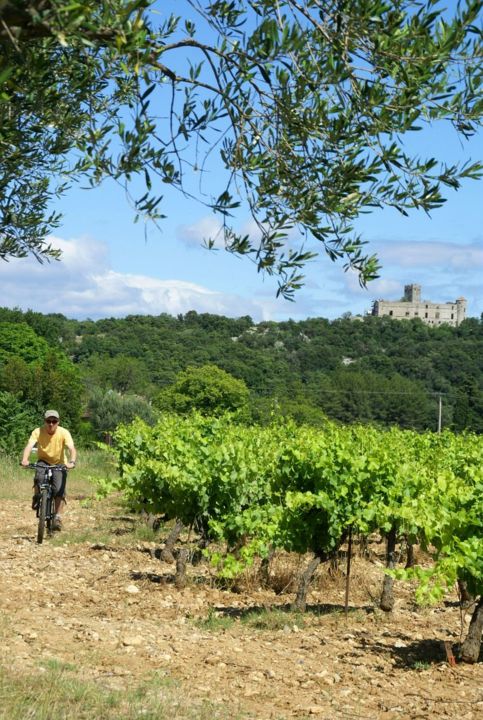 Vauvert - Gard Tourisme
