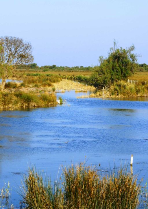 Vauvert - Gard Tourisme