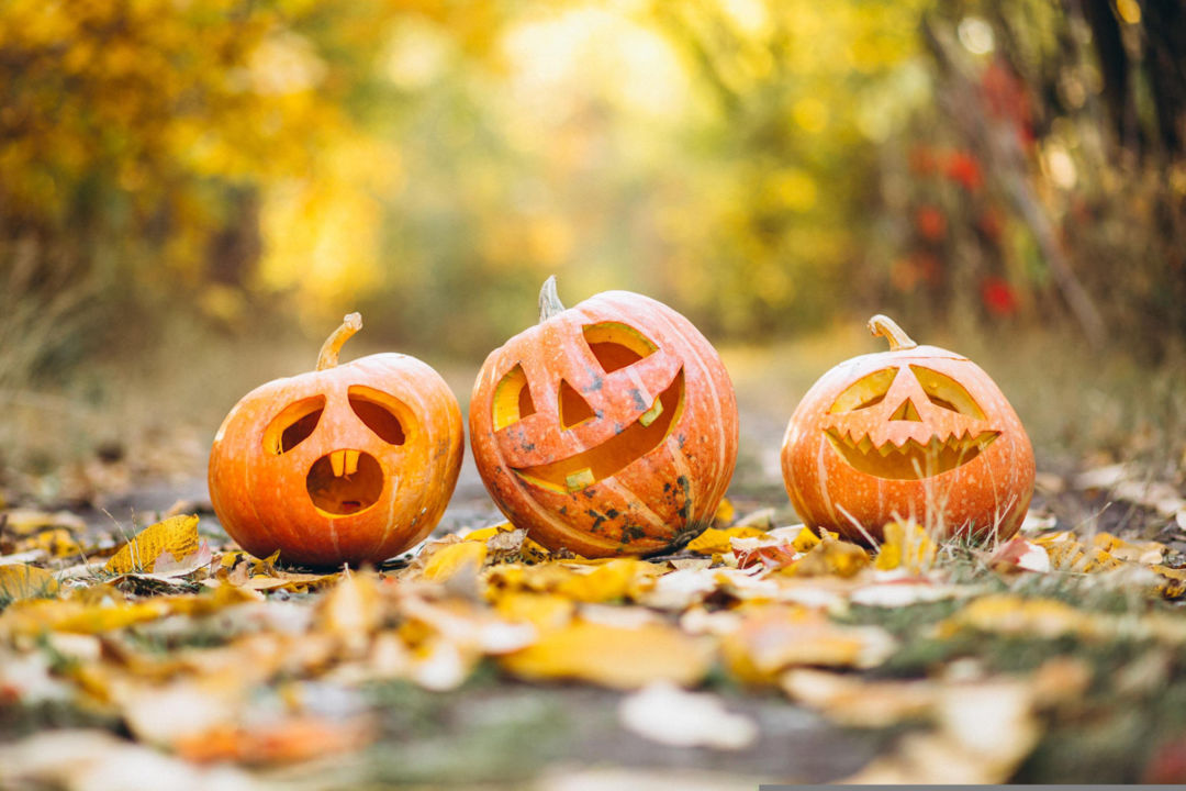 Fêter Halloween dans le Gard - Gard Tourisme
