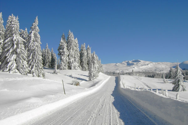 État des routes du Sancy : infos trafic & conseils circulation